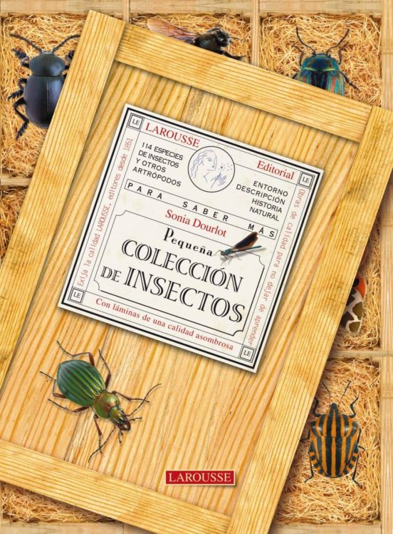 PEQUEÑA COLECCION DE INSECTOS | VV.AA. | Casa del Libro